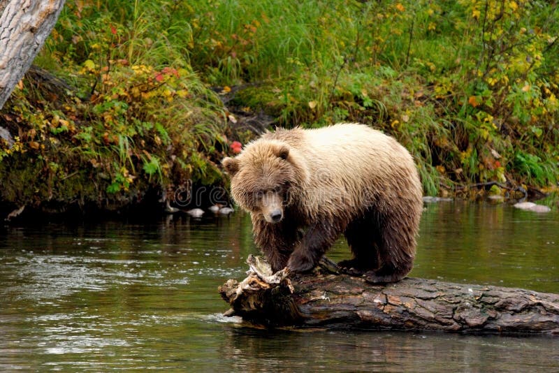 I Dream Geni Feet Stock Photos - Free & Royalty-Free Stock Photos from ...