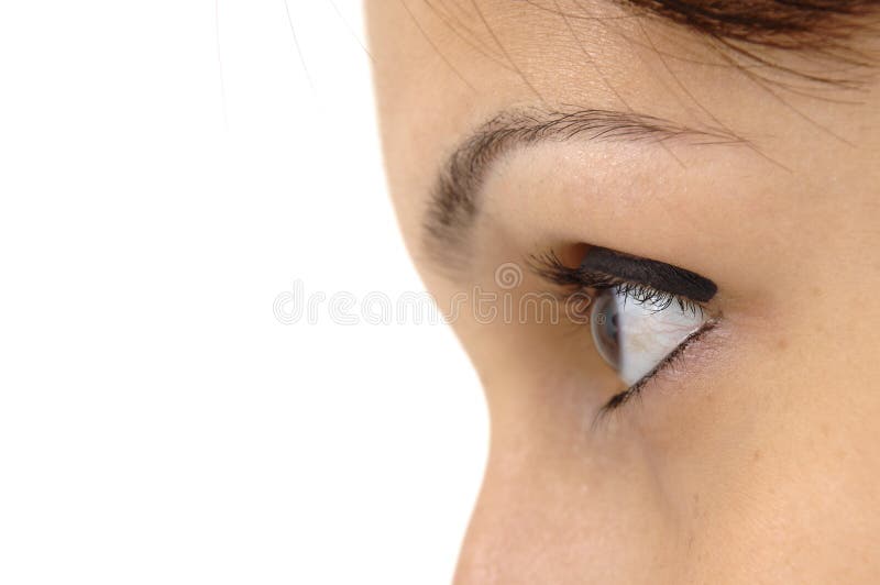 Look up stock image. Image of entrepreneur, elegant, people - 1116435