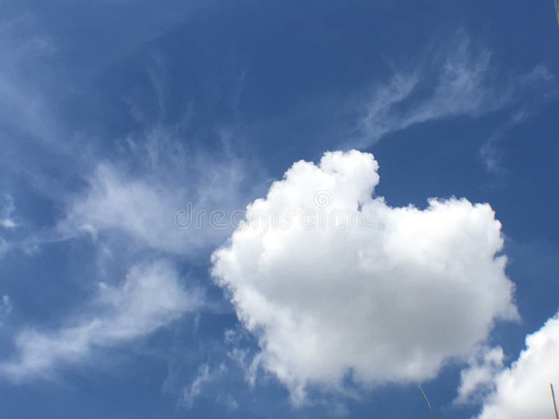 To love the sky blue. stock image. Image of today, bright - 118005491