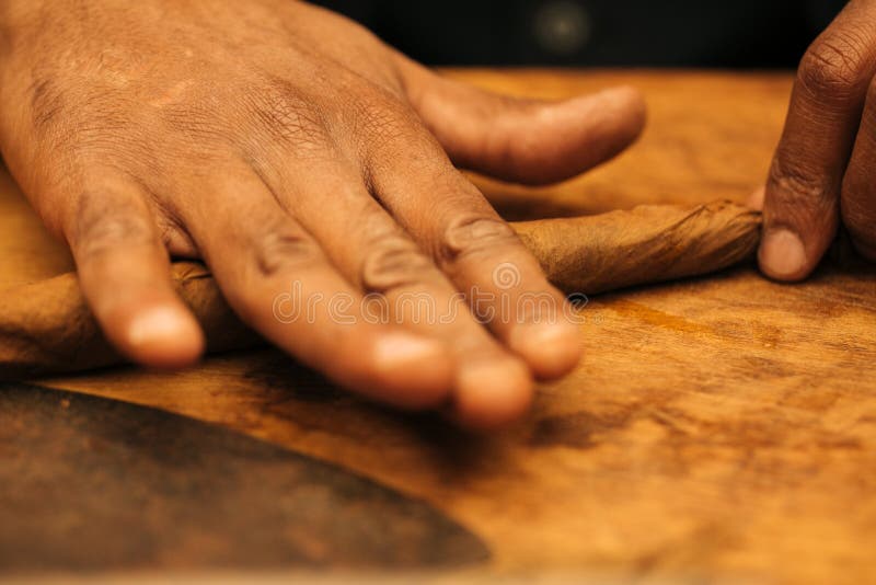 To Make a Cigar with His Hands, Sheets for a Cigar, Handwork Stock ...