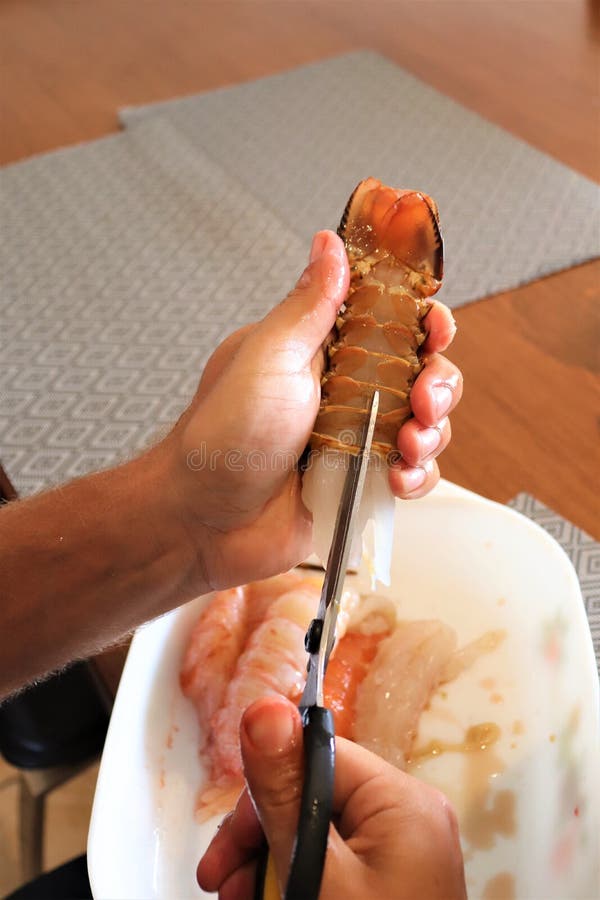 Preparing Crayfish or Lobster for Cooking Stock Photo - Image of ...