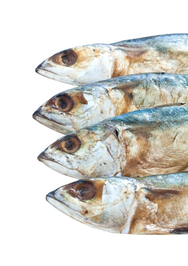 Salted mackerel. stock photo. Image of freshness, reflection - 19265972
