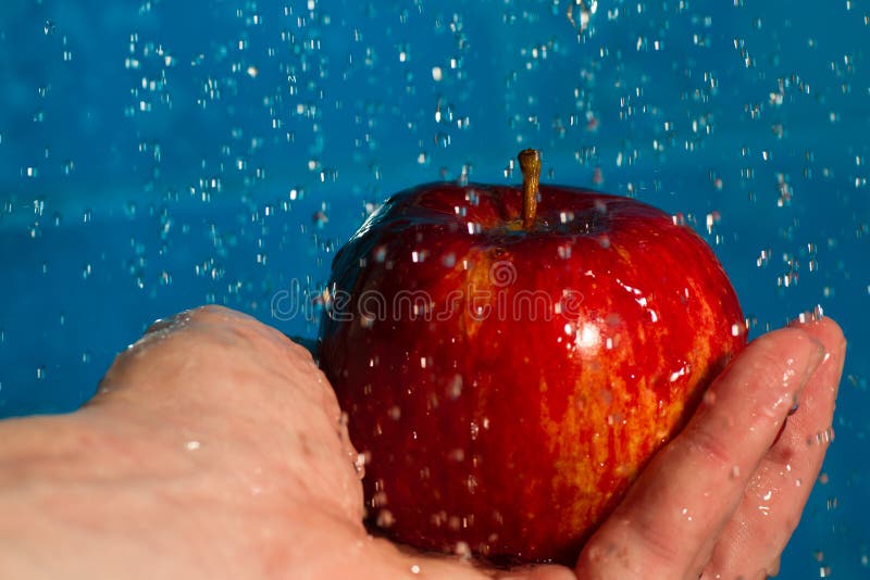 To wash an apple stock photo. Image of drop, refreshing - 17970580
