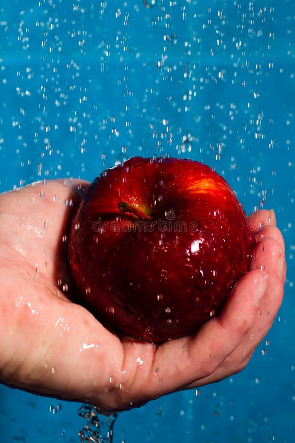 To wash an apple stock photo. Image of health, delicious - 18198302