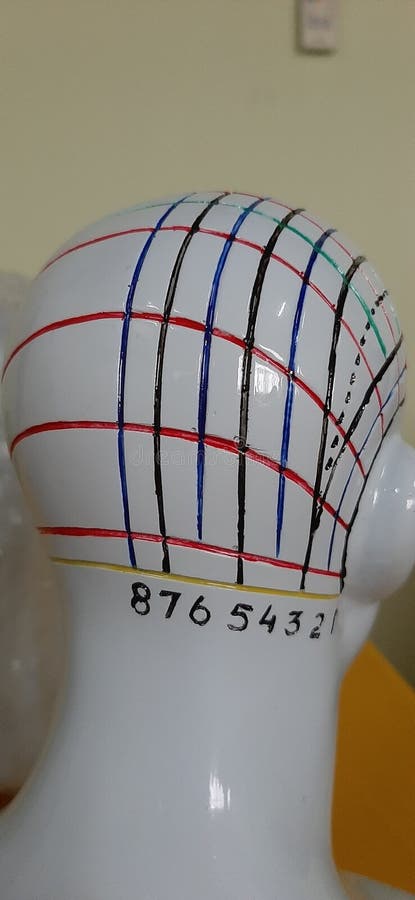 TOA style Models stock photo. Image of models, therapy - 278431824