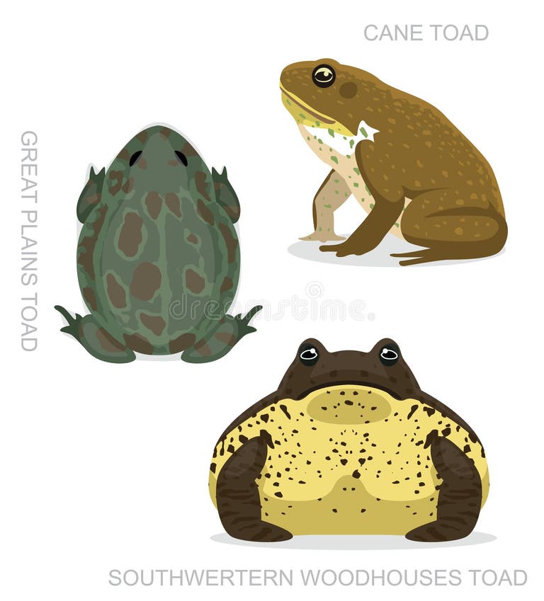 Invasive Species Stock Illustrations – 1,269 Invasive Species Stock ...
