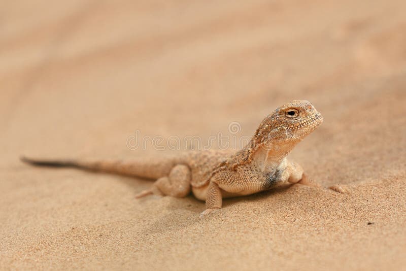 Evgeniyqw - Photographer profile