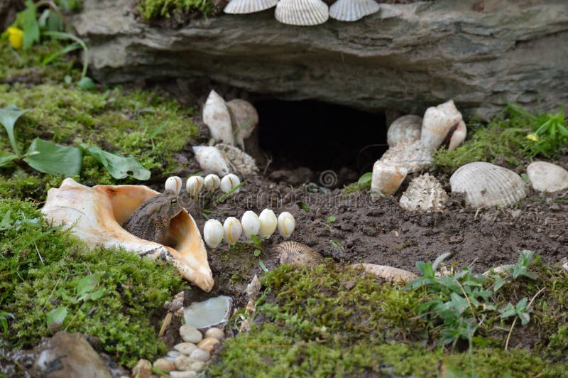 Toad House Bath Stock Photos - Free & Royalty-Free Stock Photos from ...