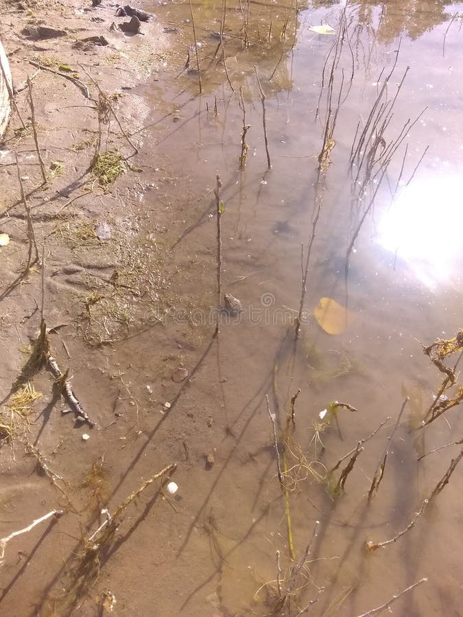 Toad Lake Mountain Tiny Fun Stock Photo - Image of mountain, lake ...