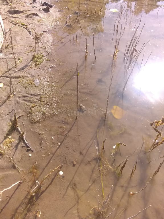 Toad Lake Mountain Tiny Fun Stock Photo - Image of mountain, lake ...