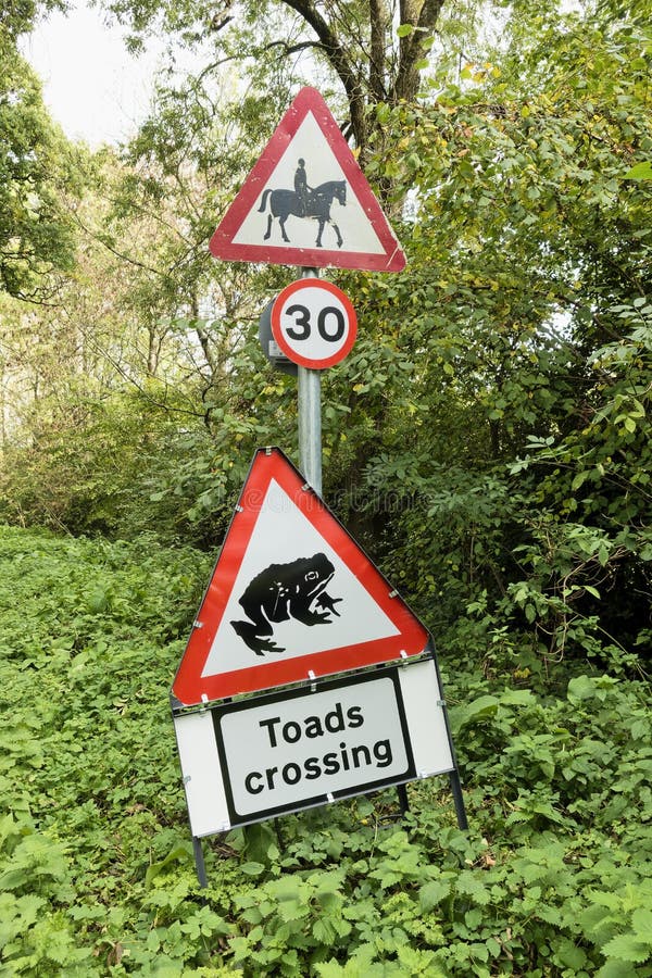 Toad Crossing Road Sign Stock Photos - Free & Royalty-Free Stock Photos ...