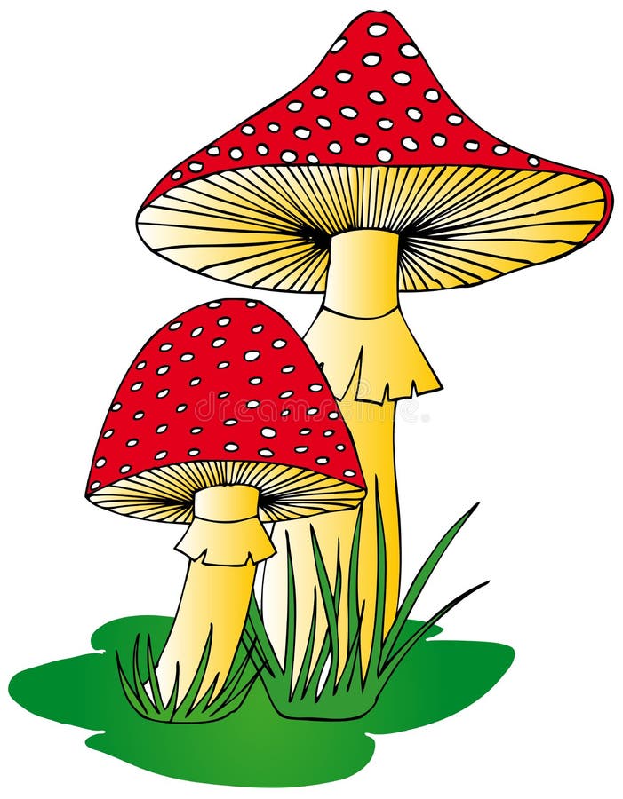 Toadstool stock illustration. Illustration of ground, forest - 7628903