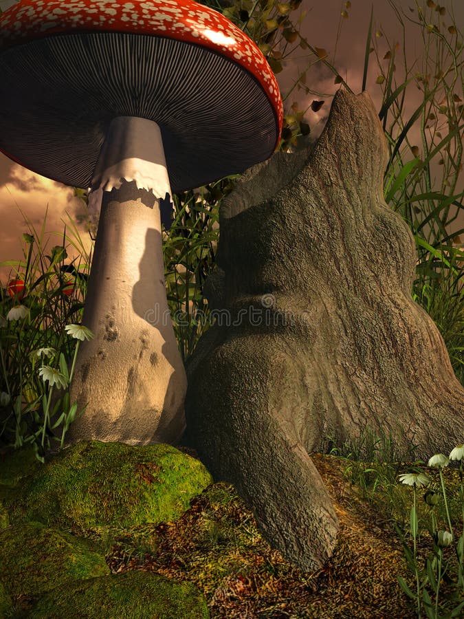 Toadstool by an old tree stock illustration. Illustration of background ...