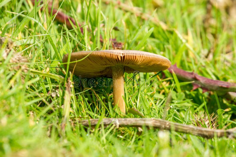 101 What Bank Country Stock Photos - Free & Royalty-Free Stock Photos ...