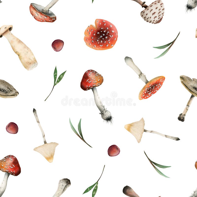 Poisonous White Berries Stock Illustrations – 172 Poisonous White ...