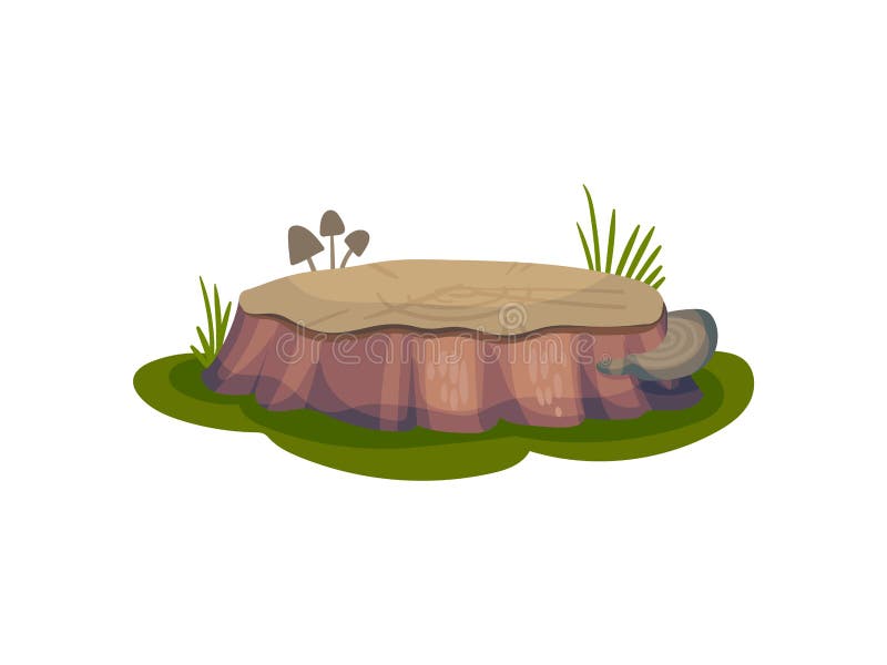 Low and Wide Stump. Vector Illustration on White Background Stock ...