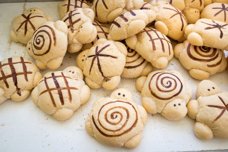 Toast Bread Cute Turtle Shape Stock Image - Image of decorated ...