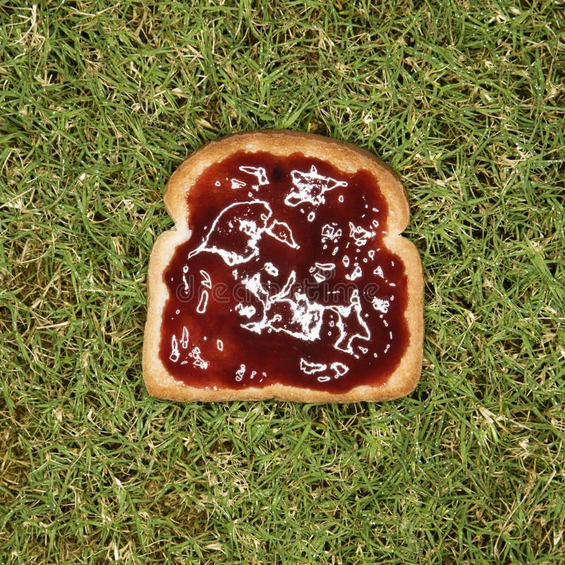 Toast with jam on grass stock photo. Image of serving - 2047230