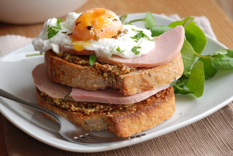 Toast mit Spinat und Ei stockfoto. Bild von poschiert - 79752718