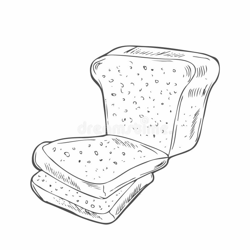 Toast Slices Sketch. Bread Engraving in Hand Drawn Style Stock Vector ...
