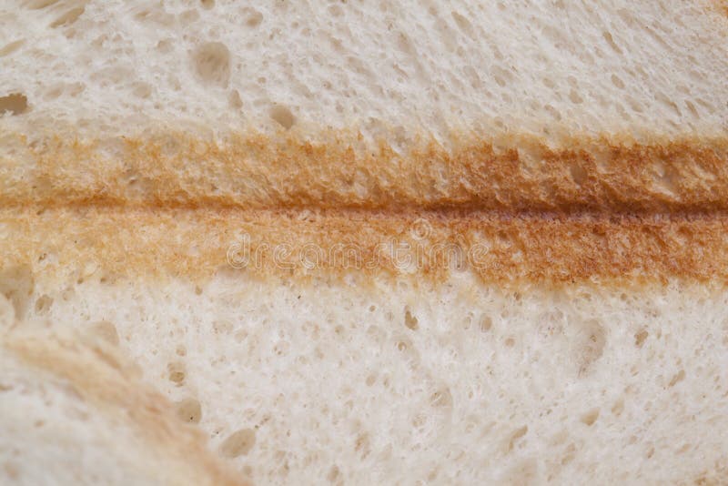 Toast texture stock photo. Image of bread, piece, sandwich - 23906810
