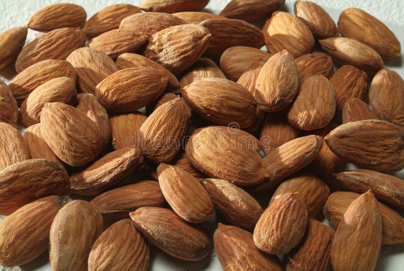 Toasted Almond Texture stock image. Image of almonds - 344213869