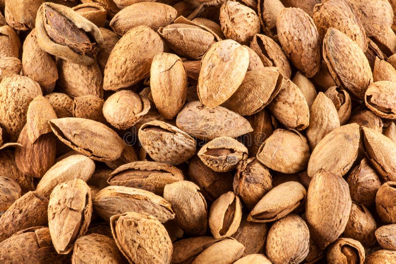 Almonds closeup stock image. Image of macro, nutrition - 23489237