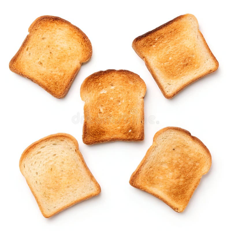 Toasted Bread Slices Isolated on White Background Stock Illustration ...