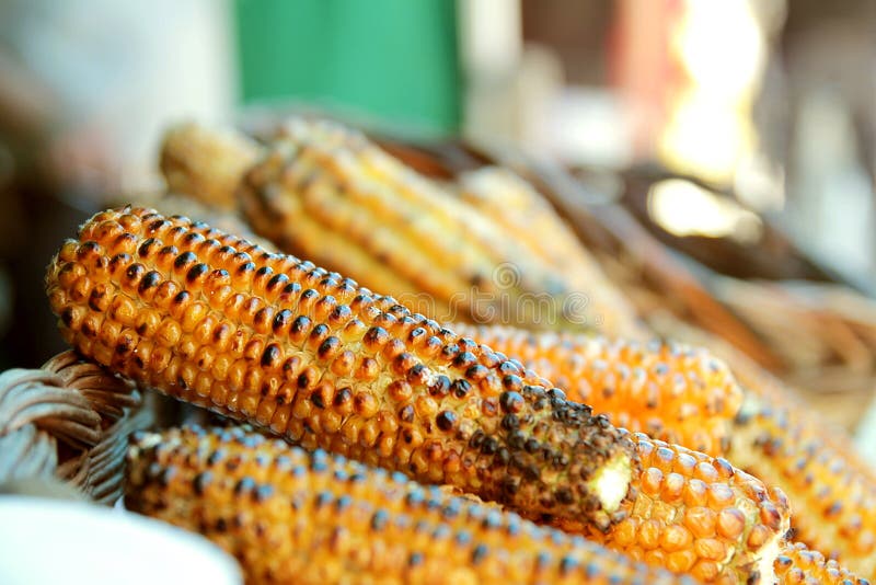 Toasted corn stock image. Image of tasty, corn, roasted - 84801847
