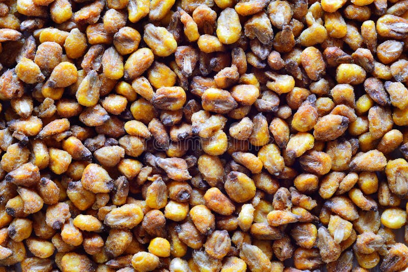 Toasted corn. stock image. Image of ingredient, nuts - 58988741