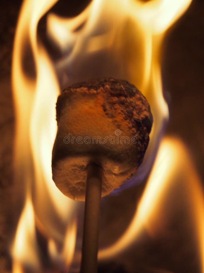 Toasted Marhmallow stock photo. Image of campfire, barbeque - 43187396
