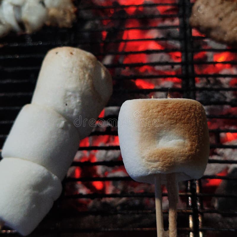 Toasted Marshmallow stock photo. Image of cold, marshmallows - 331079610