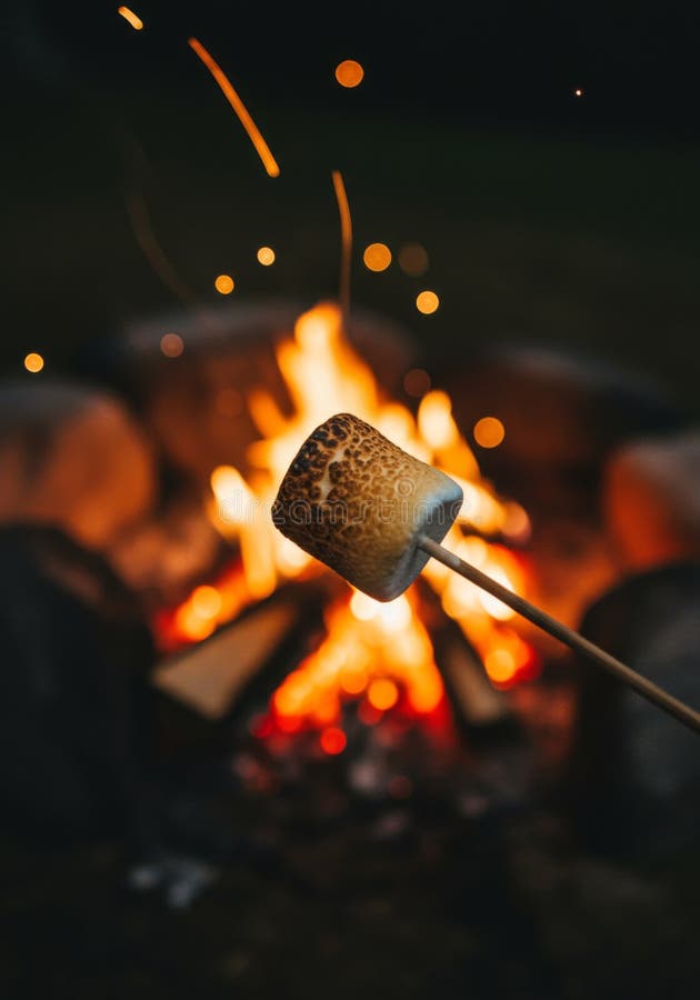 Toasted Marshmallow on a Stick Over a Campfire at Night Stock Illustration - Illustration of ...