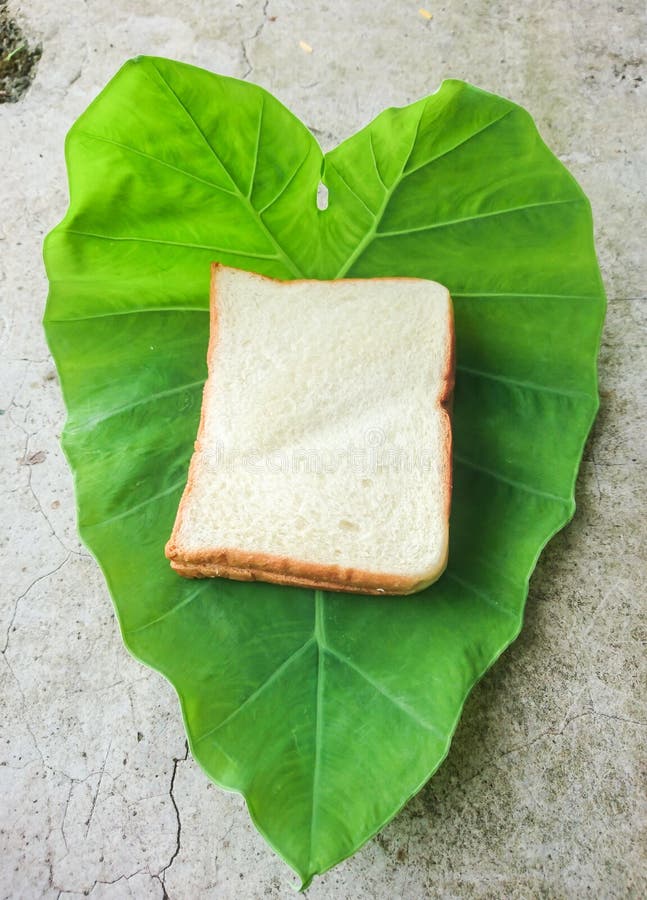 Toasted Sandwich Placed on Green Taro Leaves Stock Photo - Image of ...