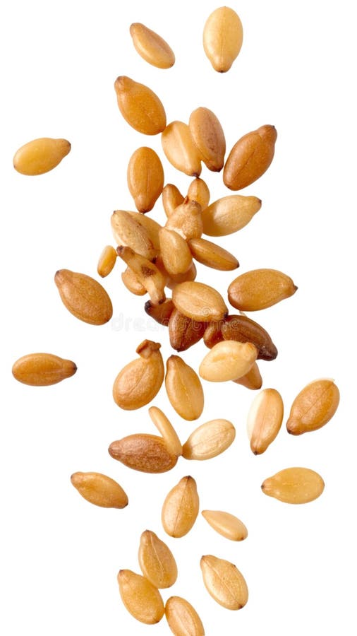 Toasted Sesame Seeds Gently Drifting on Transparent Background Stock ...