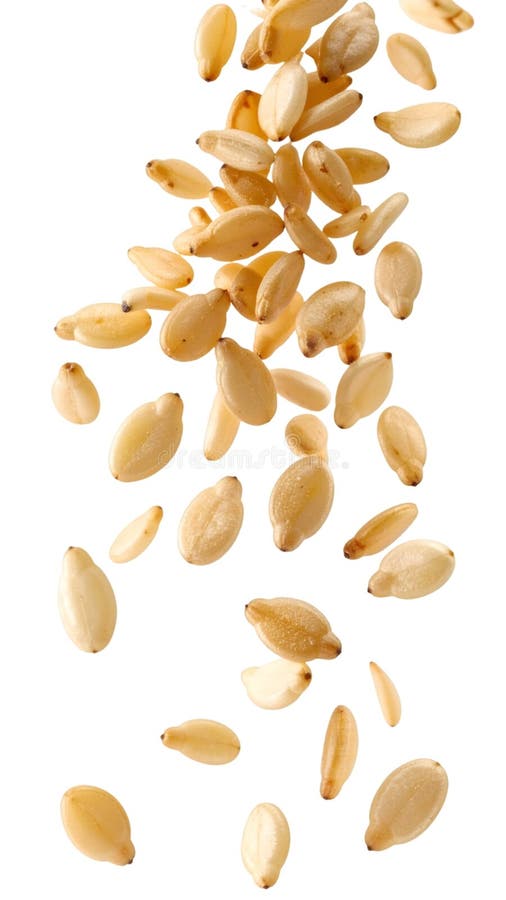 Toasted Sesame Seeds Gently Drifting on Transparent Background Stock ...