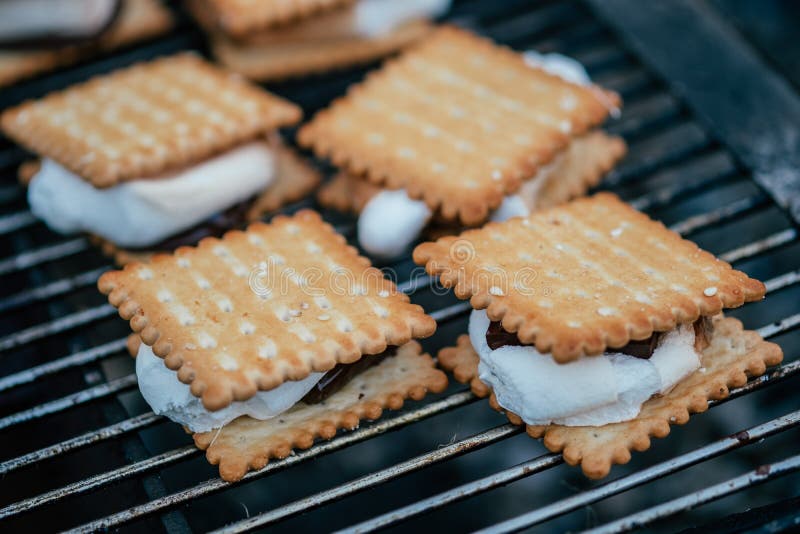 Toasted Smores on the Grill Stock Image - Image of toasted, candy ...