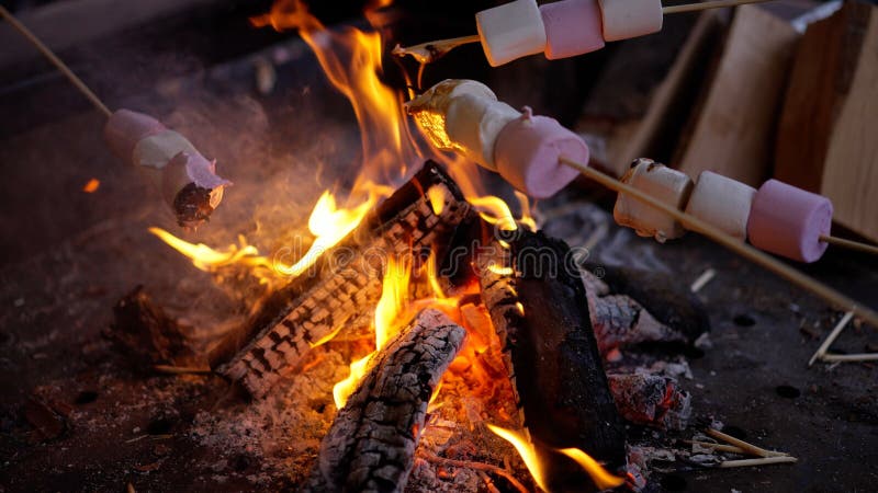 Toasting Marshmallows Over Open Fire Stock Image - Image of festive ...