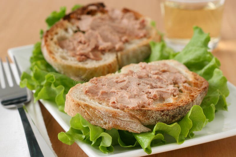 Toasts with pate stock image. Image of food, plate, meat - 22543079