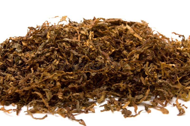 Tobacco stock image. Image of cancer, leaf, shredded - 13555733