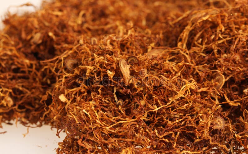 Tobacco stock image. Image of isolated, sliced, virginia - 535071