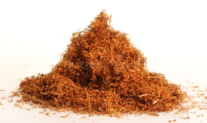 Tobacco stock image. Image of dried, tobacco, nicotine - 28656967