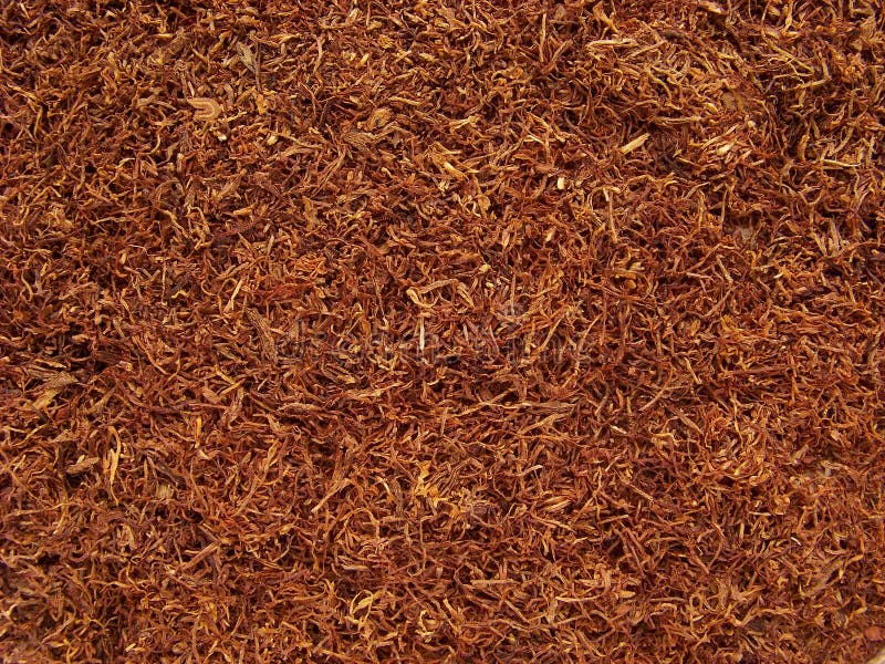 Tobacco stock image. Image of leaves, health, emphysema - 568523