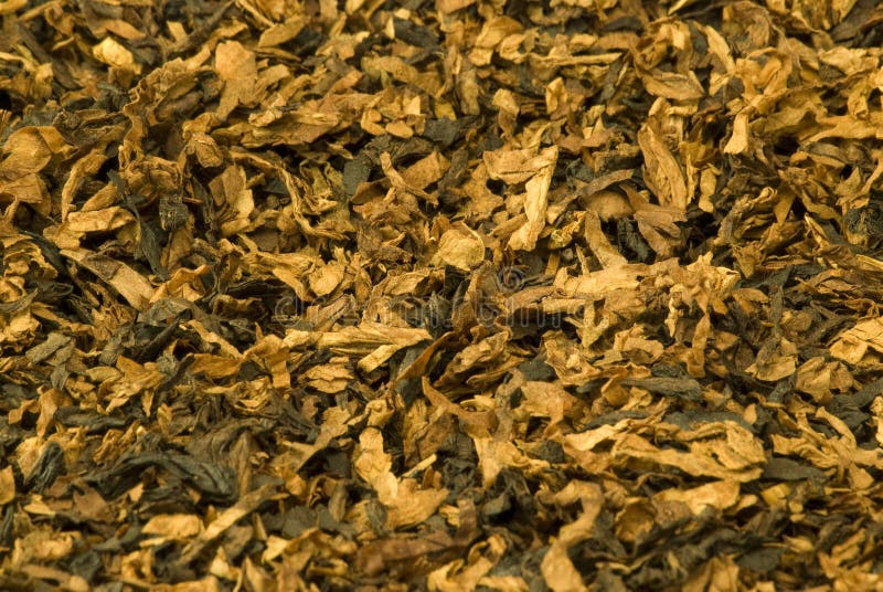 Tobacco stock image. Image of leaves, health, emphysema - 568523