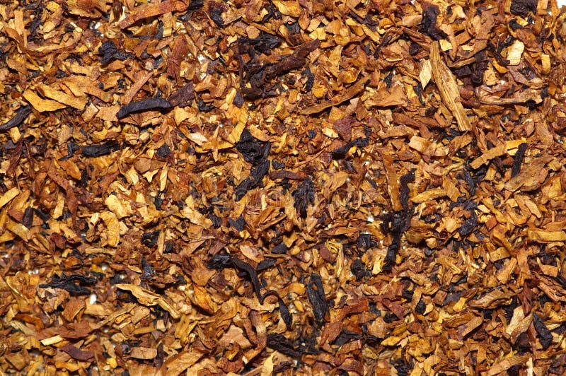 "Tobacco" Picture. Image: 9638145