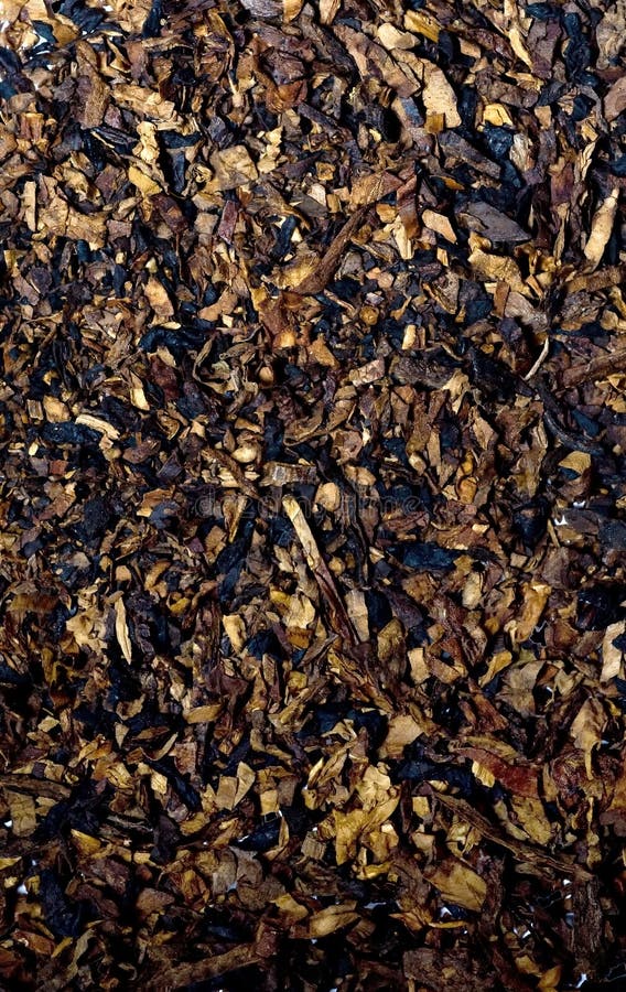 Tobacco background stock photo. Image of plant, pipe - 12793080