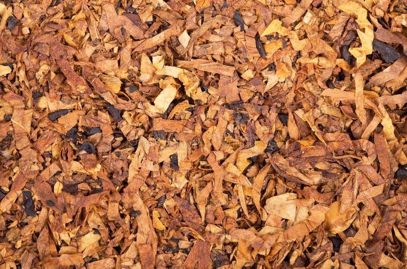 Tobacco background stock image. Image of health, aromatic - 33181893