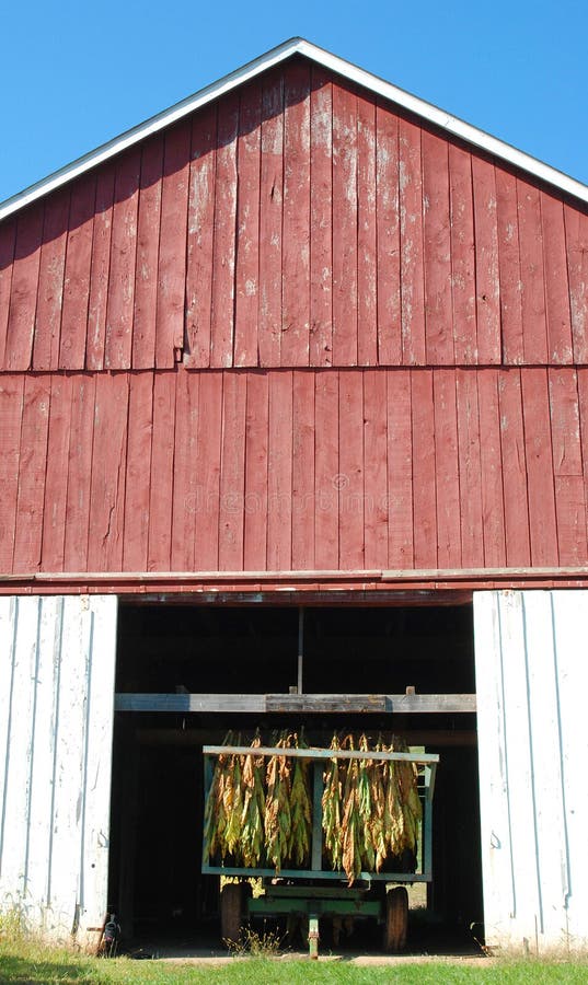 Tobacco Barn stock image. Image of fall, grass, harvest - 21468525