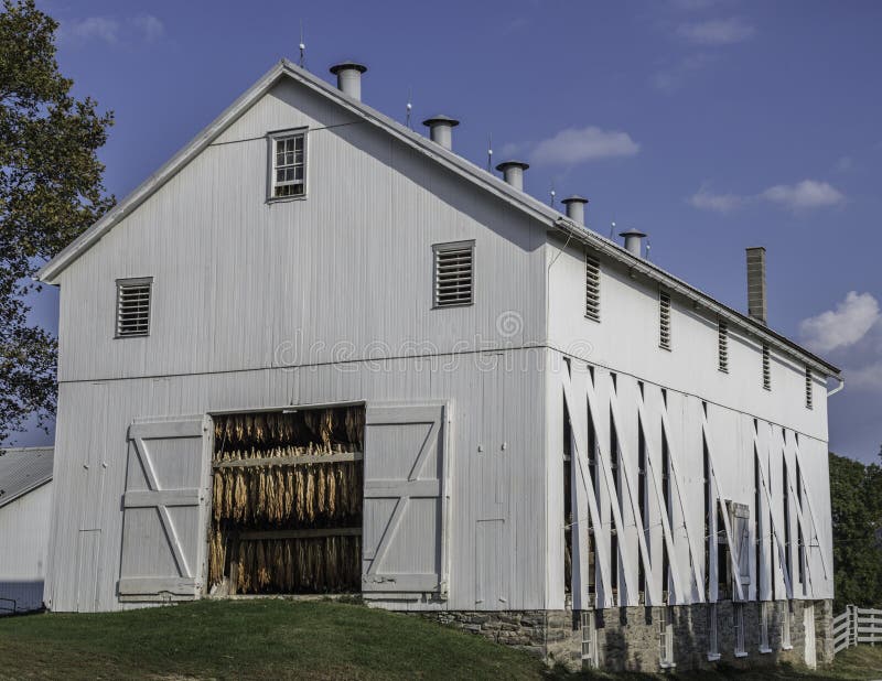 342 Tobacco Drying Barn Stock Photos - Free & Royalty-Free Stock Photos ...