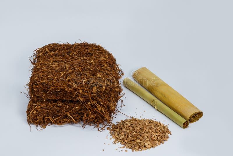 Cheroot Stock Photos - Free & Royalty-Free Stock Photos from Dreamstime